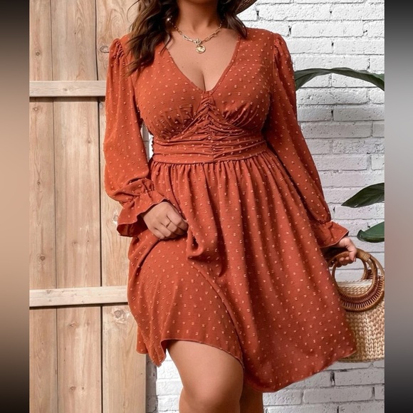 Dresses | Plus Size Rust Brown Swiss Dot Dress | Poshmark